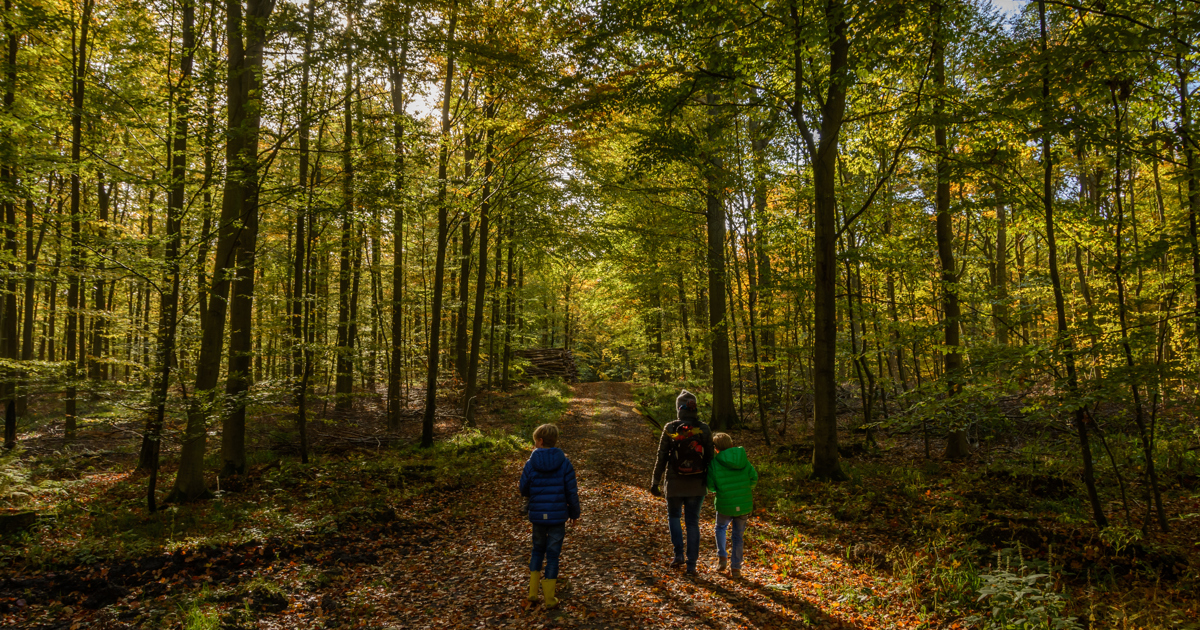 Sådan sikrer vi biodiversitet i beskyttet natur: Mere lokal forankring ...