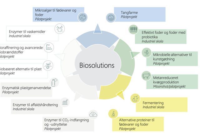 Biosolutions manipulerer naturen til at skabe grønne løsninger - DM Bio