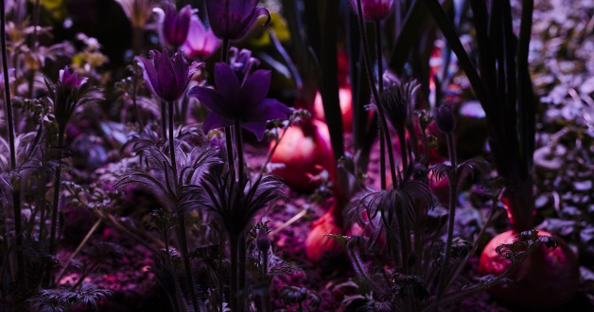 Ekspert om shitstorm mod Aros-udstilling: Det viser et forkvaklet syn ...