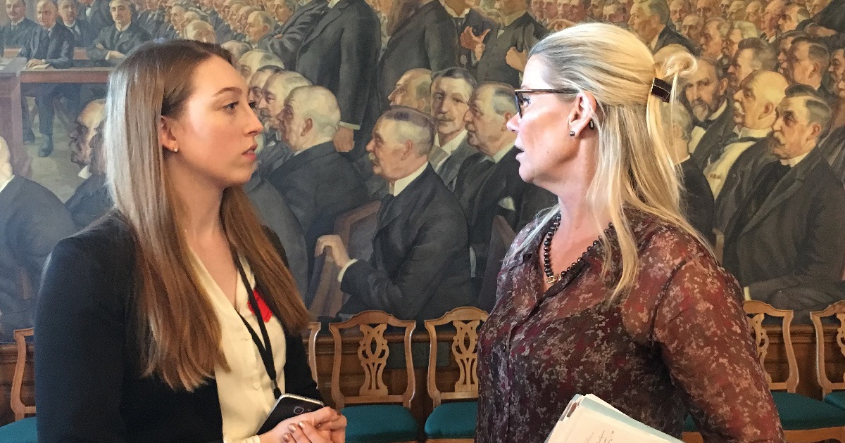 "Samtalen om dannelse afspejler en længsel efter fælles historie, dyder ...