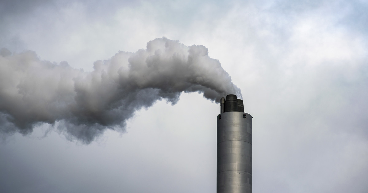 OK21: DM vil arbejde for grøn omstilling og bedre vilkår for ...