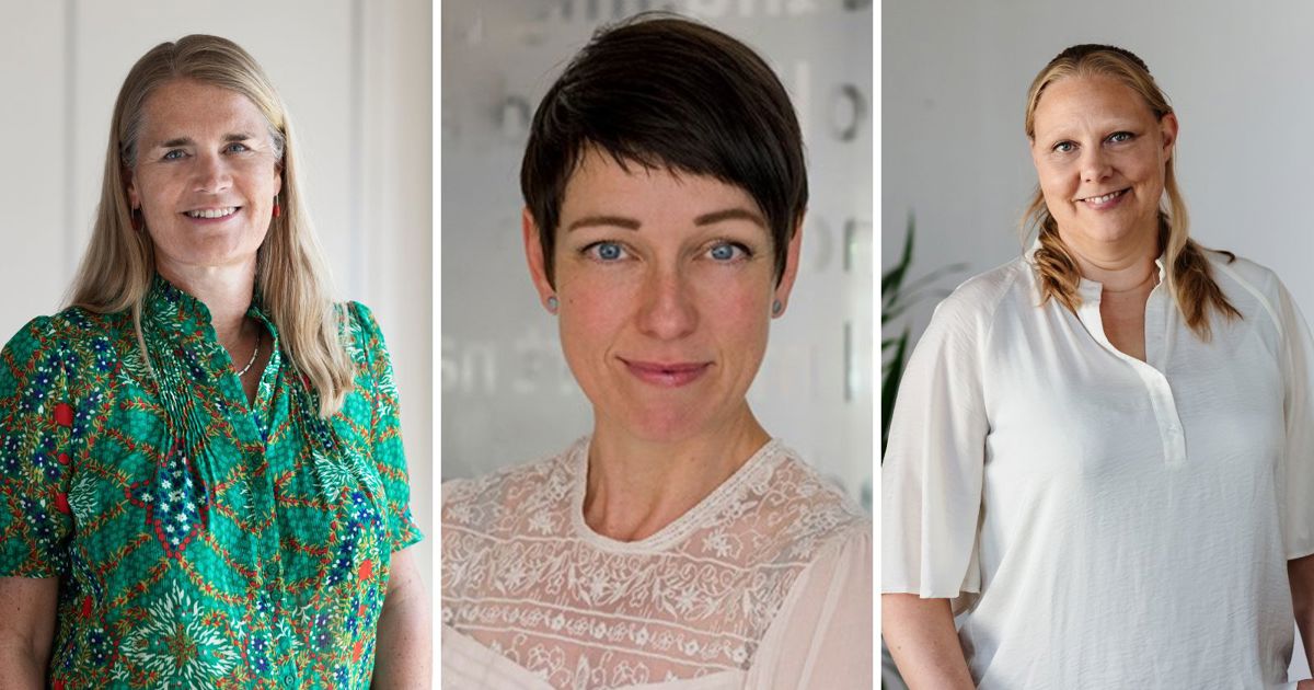 Sektorer slår pjalterne sammen for at sikre indflydelse i DM ...
