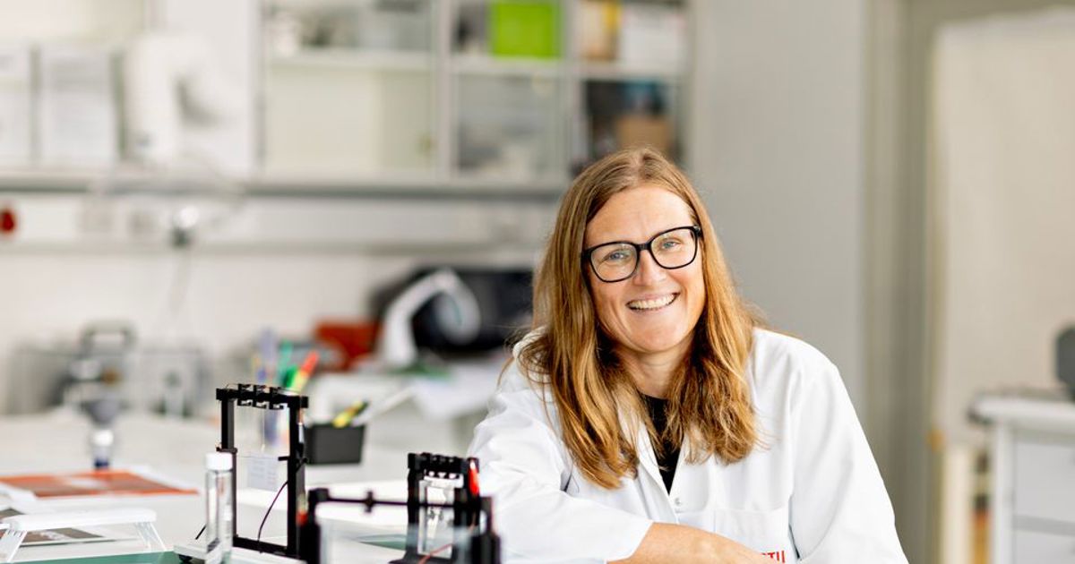 Anne Ladegaard Skov udnævnt til ny institutdirektør på DTU Kemiteknik ...