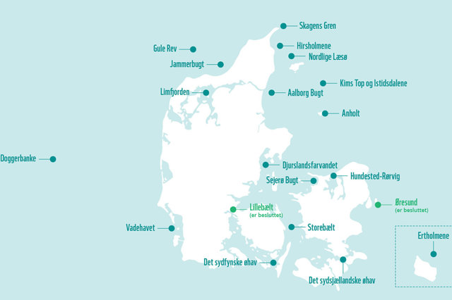 Danmarks havplan halter bagud ift. andre landes indsats - DM Bio