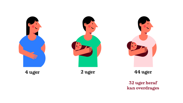 Barselsregler for soloforældre | Nye regler om orlov fra 2024 - DM